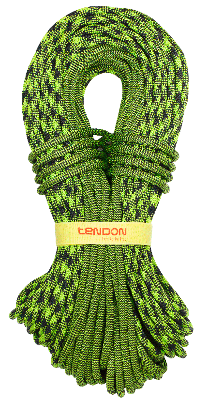 Tendon 9,8mm Ambition Bicolor Dry Rope 60m